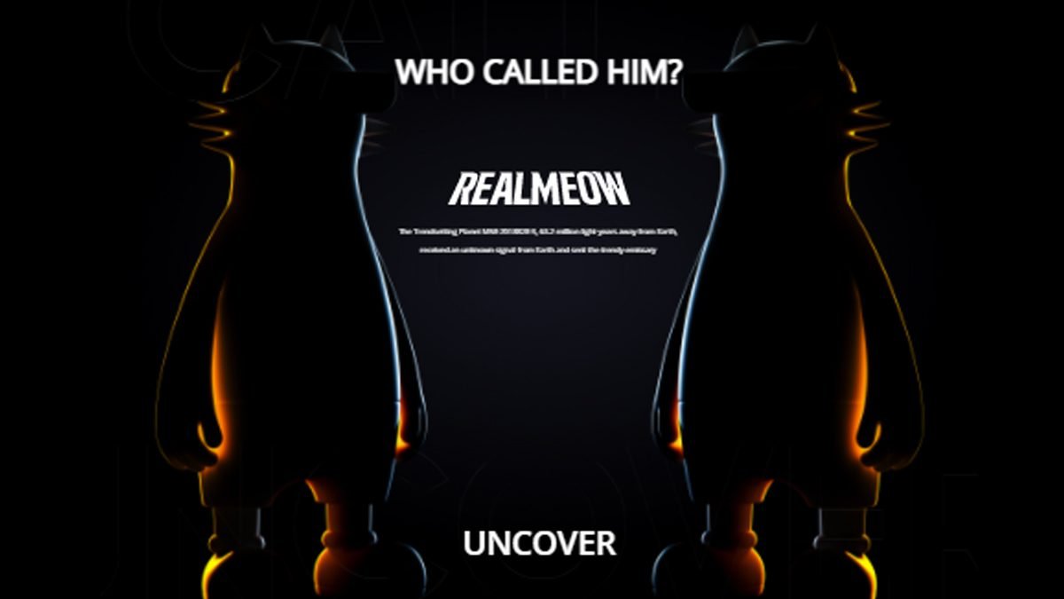 Realmeow: The all-new, astonishing new species by Realme is on its way